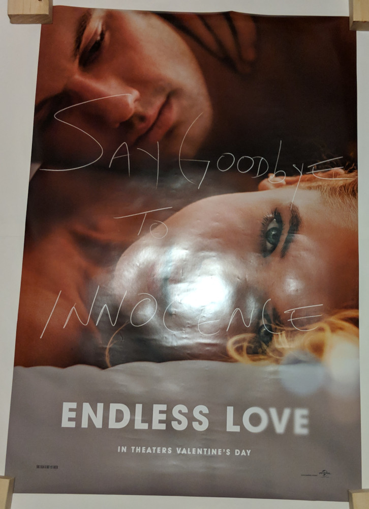 Endless Love – MooVPosters
